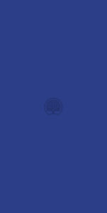 Electic Blue - Heritage Surfaces
